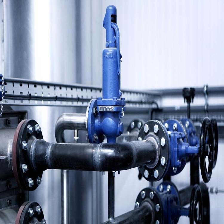 Spirax Sarco Disc Check Valves And Sanitary Check Valve With Pump Trap