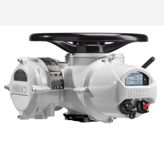 ROTORK Electric Actuator IQ With Chinese Wuzhong Valve And Flowserve ...