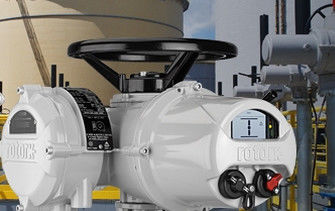 ROTORK Electric Actuator IQ With Chinese Wuzhong Valve And Flowserve ...
