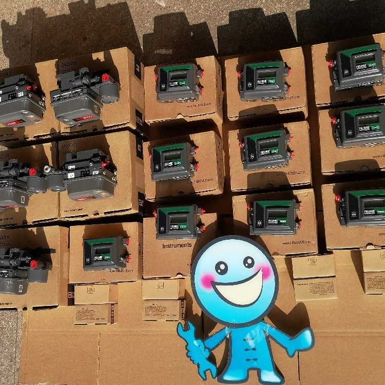 fisher DVC2000 Digital 30 Psig DN50 NPT Control Valve Positioner