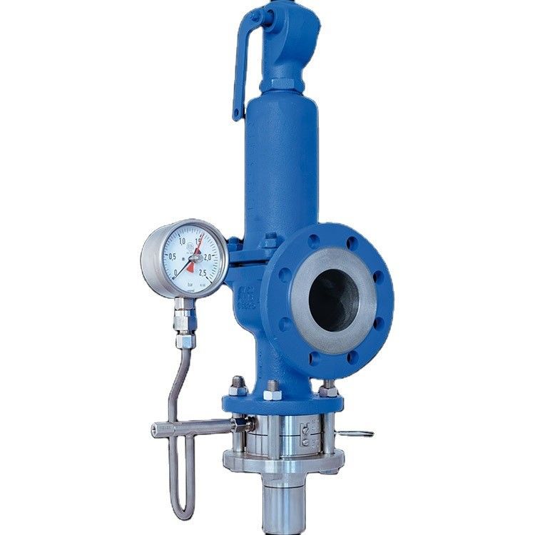 Bursting Disc Combination Of Safety Valve And Bursting Disc Safety Valve