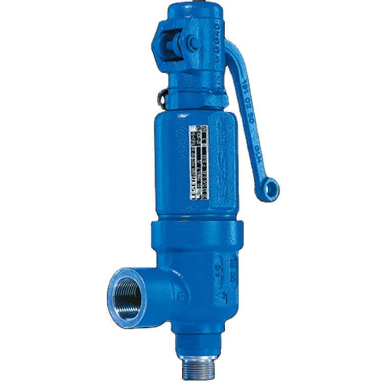 Type 460 Spring Loaded Heating And Air Conditioning Safety Valve