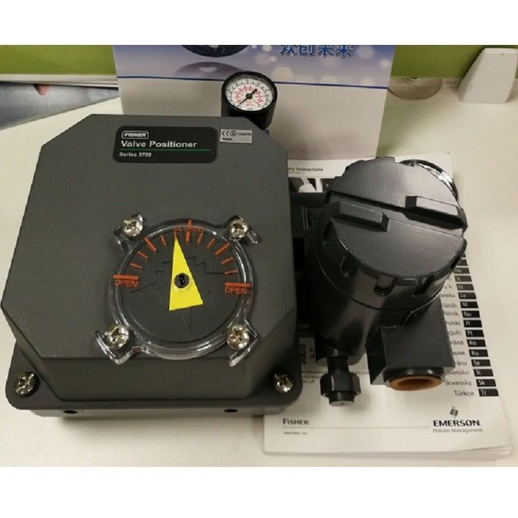3720 Electro-Pneumatic Positioner Add 3722 Electrical Converter Of ...