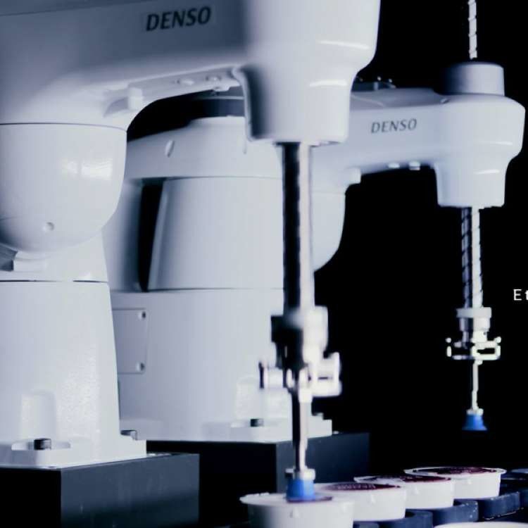 Horizontal Multi Joint Scara Robot 4 Axis HSR-048/055/065 As Industrial ...