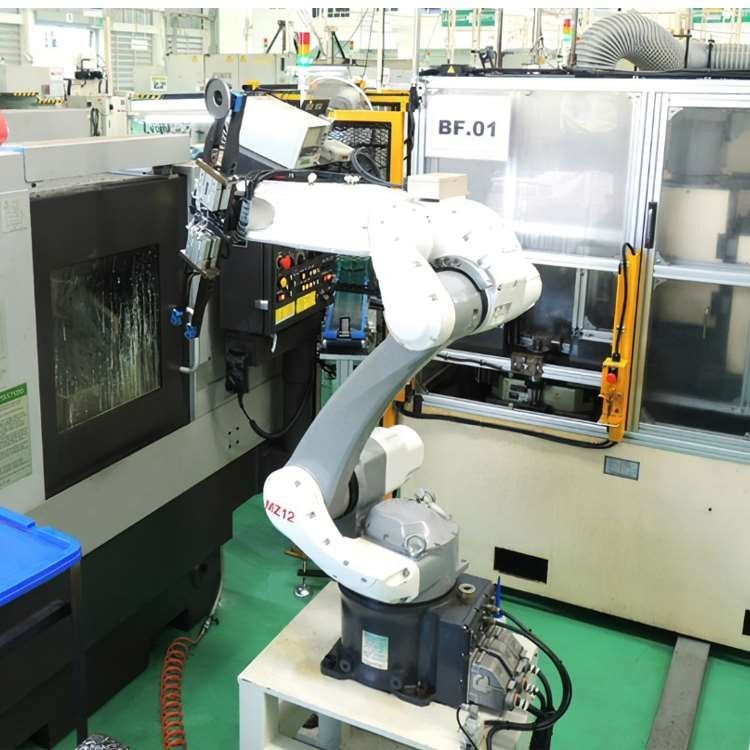 Universal Robotic Arm 6 Axis MZ12-01 For Industrial Robot As Packing Robot