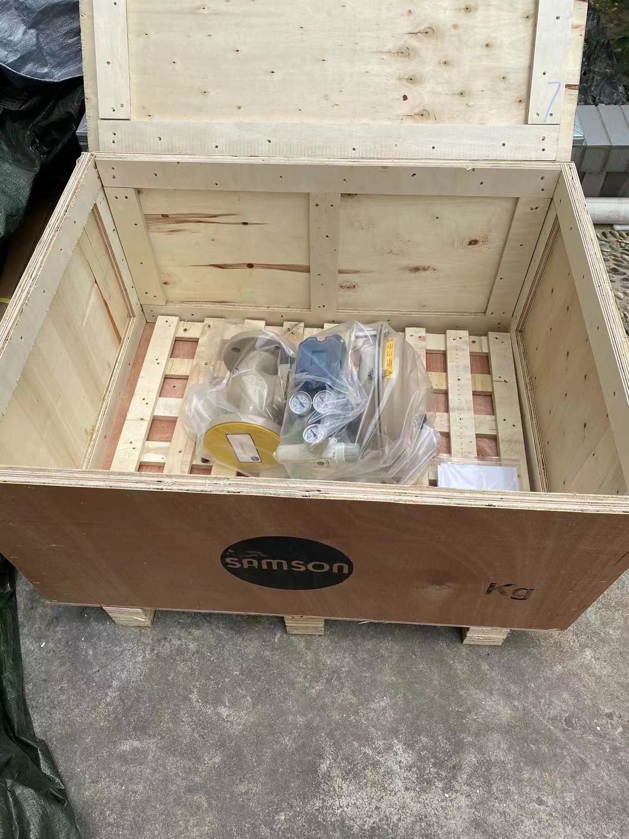 Samson Control Valves 3241 Globe Valve With 3277 Pneumatic Actuator And ...
