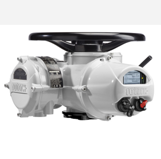 ROTORK Electric Actuator IQ With Chinese Wuzhong Valve And Flowserve Ball Valves