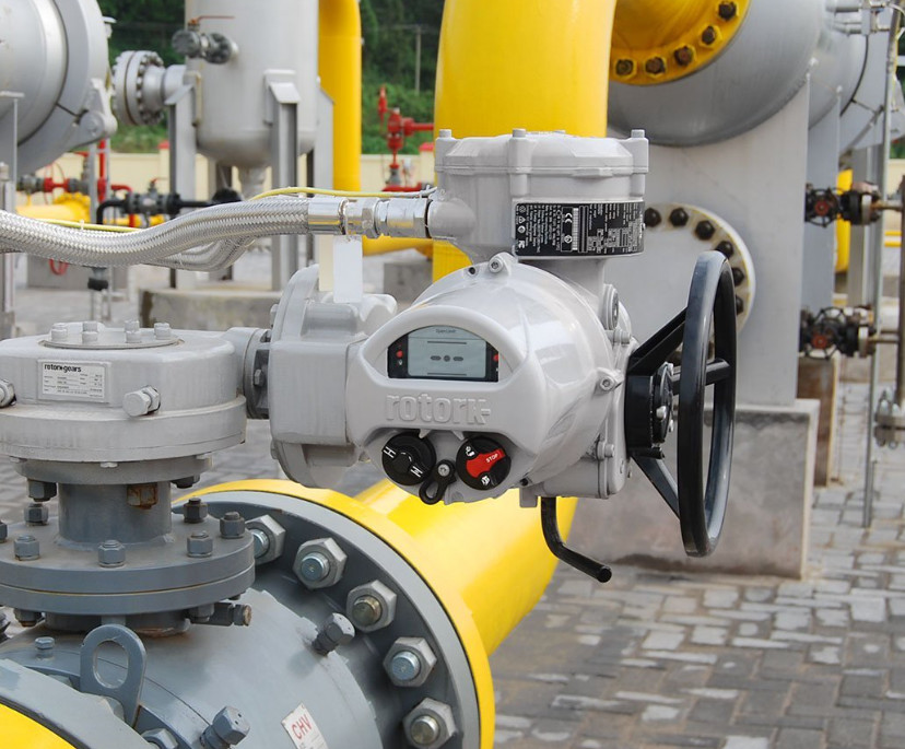 ROTORK Electric Actuator IQ With Chinese Wuzhong Valve And Flowserve ...