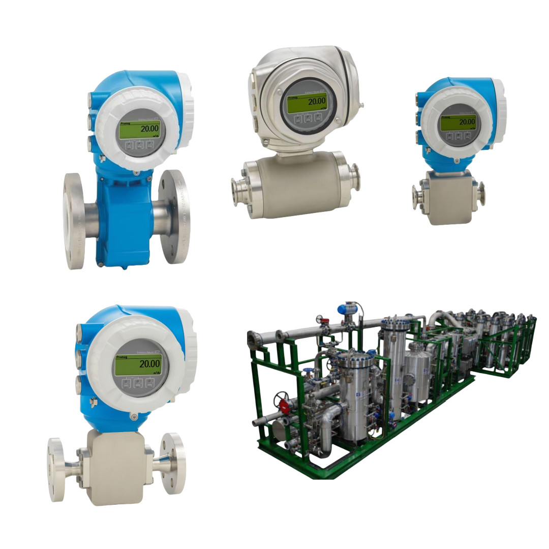 Chinese Skid-mounted Equipment E+H Endress + Hauser Proline Promag H ...