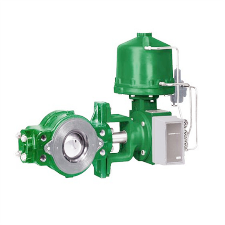 Valve Switching Skid With Fisher V250 Control Valve With 1061 Pneumatic ...