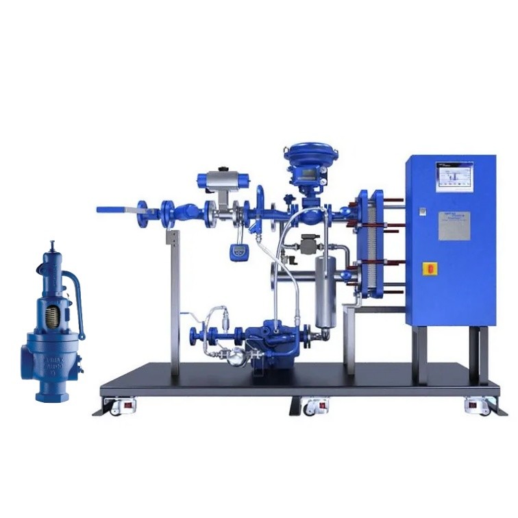 Spirax Sarco High-Performance Safety Valves SV604/SV607 for Optimal ...