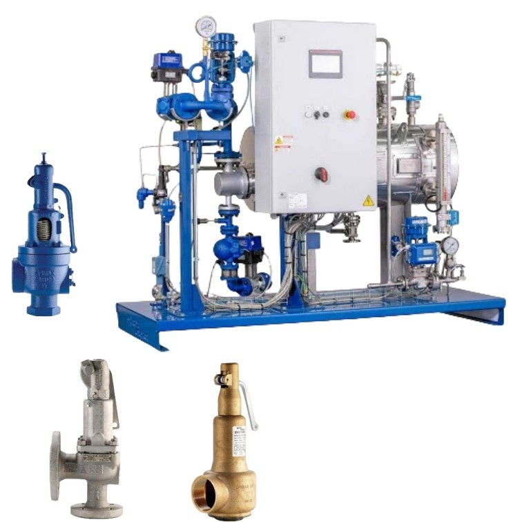 Industrial Safety Valves Spirax Sarco SVL488 Essential for Ensuring ...