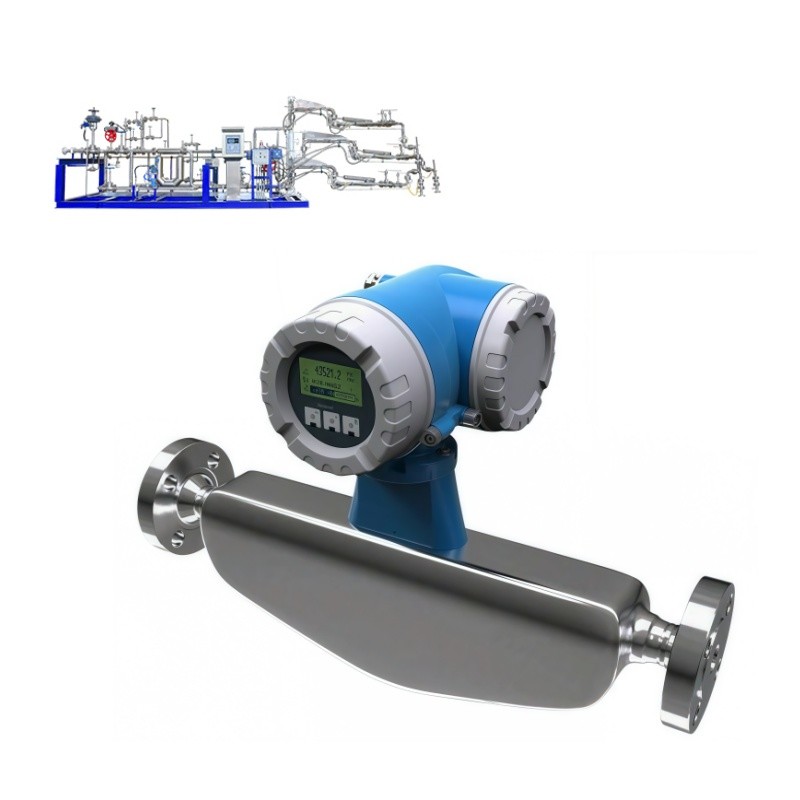 E+H Chemical Coriolis Flowmeter Endress+Hauser Proline Promass E 300 ...