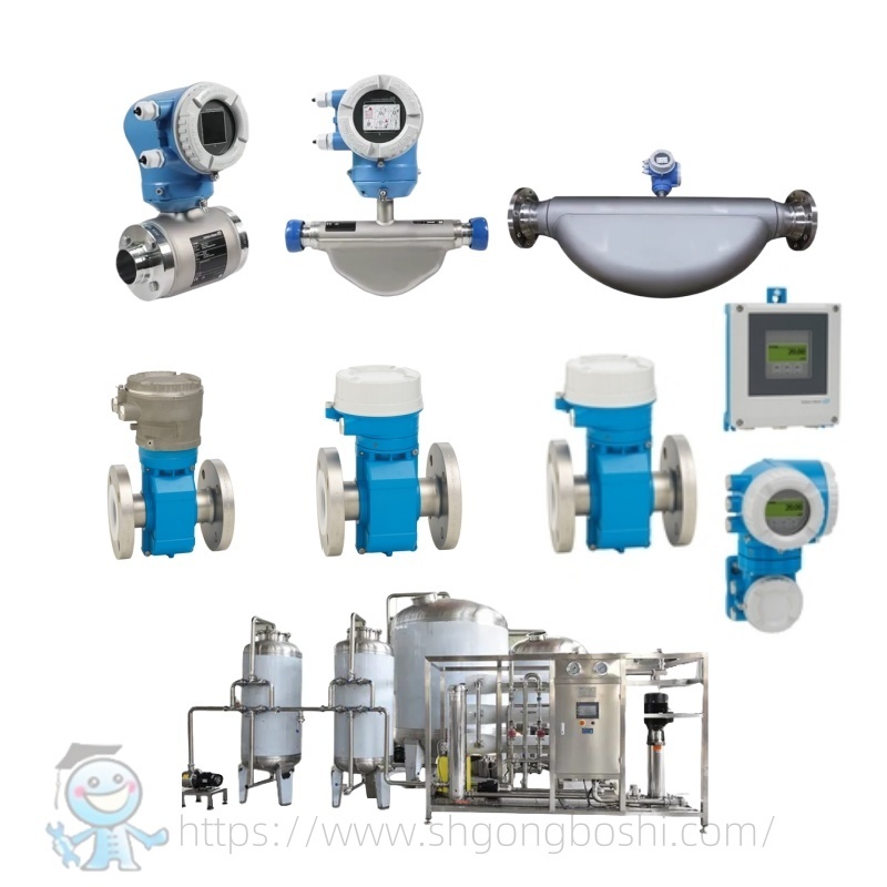 E+H Proline Promag P 300 Sanitary Flowmeter | Food Grade ...