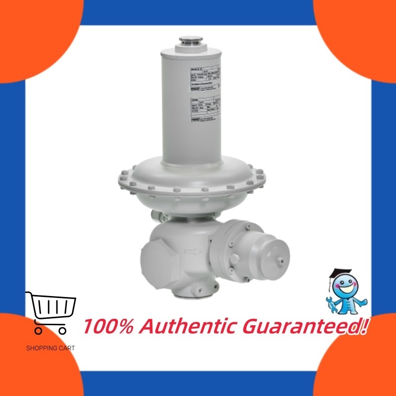 Itron RB1700 RB1800 Series Industrial Regulator LPG First Stage ...
