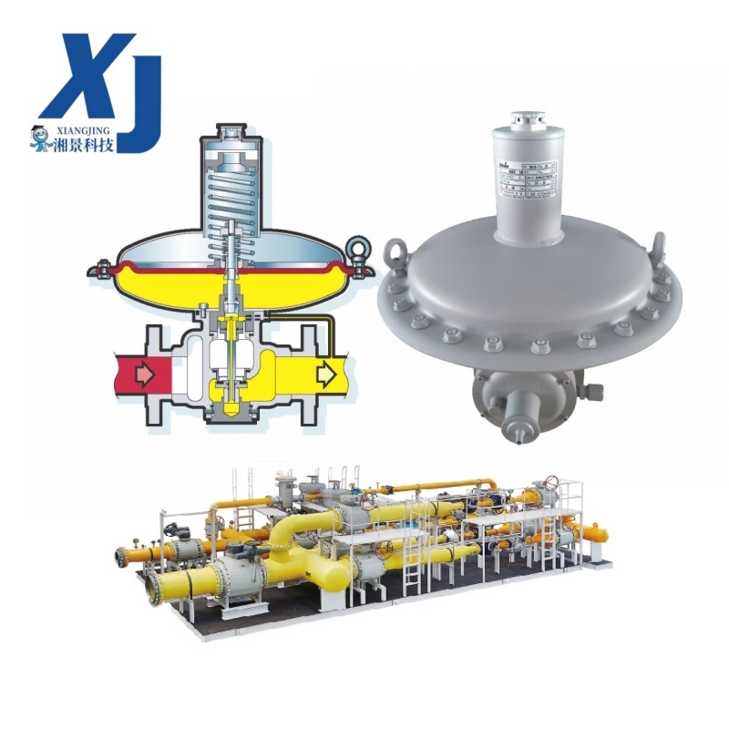 Itron RB1700 RB1800 RB4000 Industrial Gas Pressure Regulator