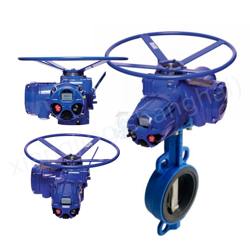Limitorque MX Electric Actuator: Precision Control for Industrial Valve ...