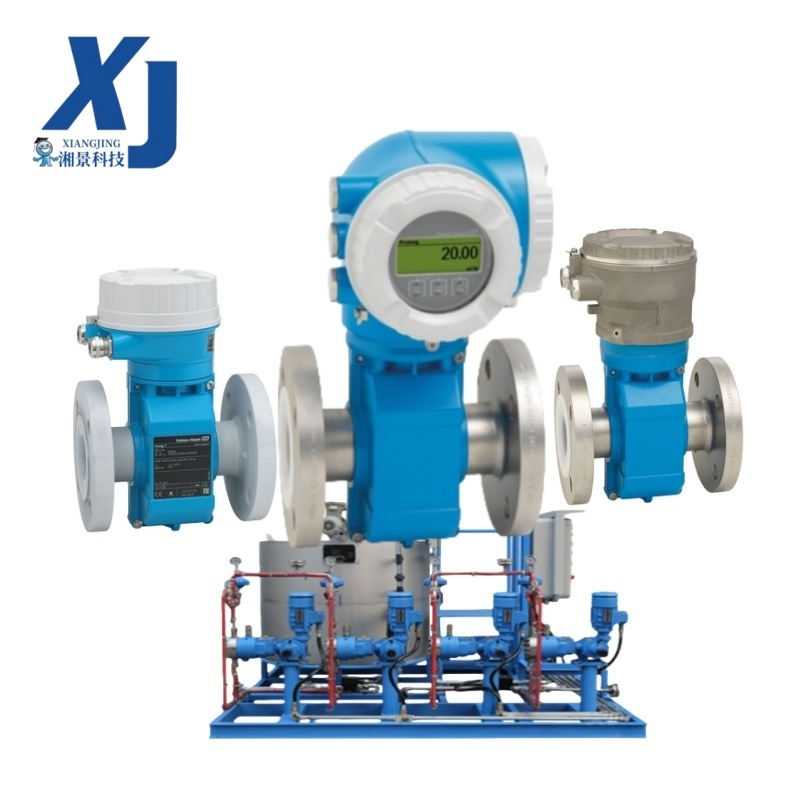 Accurate and Reliable Endress+Hauser Proline Promag P 300 for ...