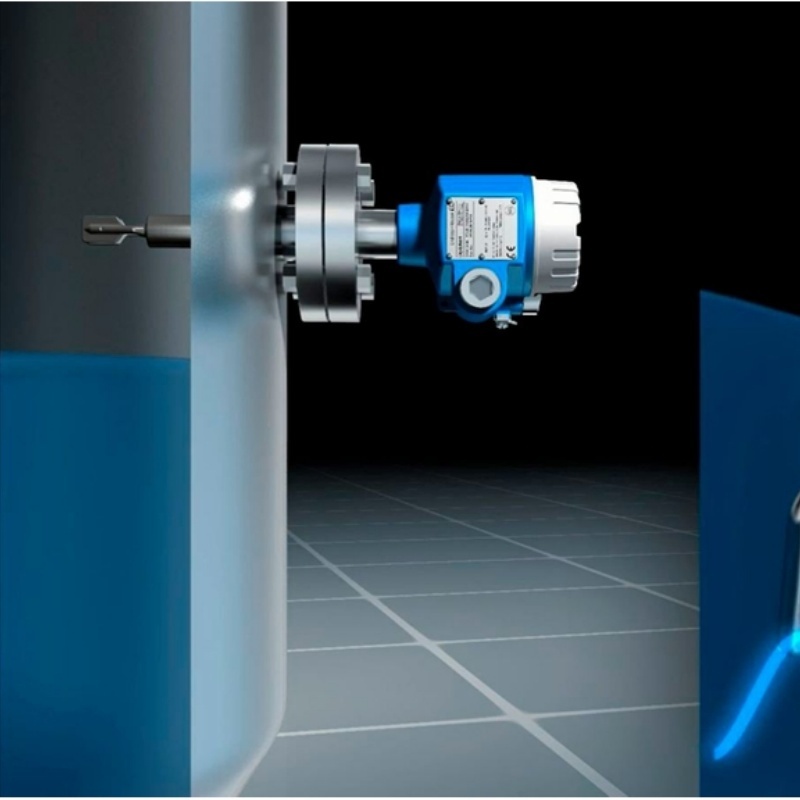 Endress+Hauser FTL51B Liquiphant Vibronic Level Switch