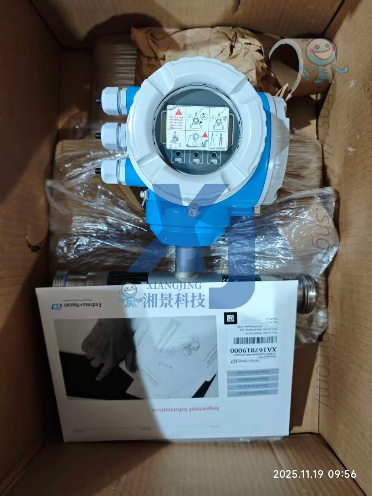 Enhance Flow Measurement Accuracy with Endress Hauser 8E3B25 Sensor