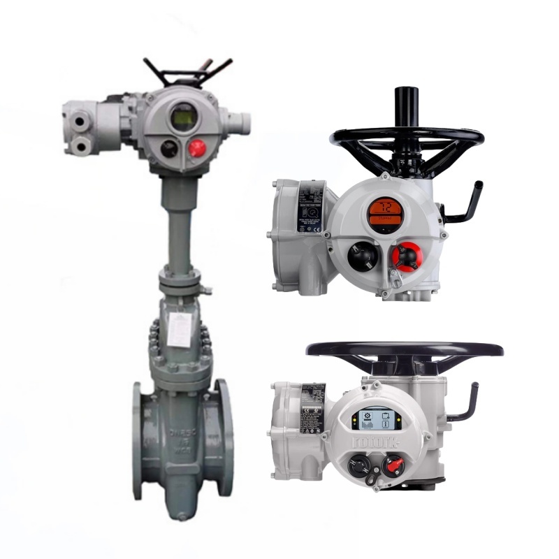 Rotork IQ Series Electric Actuators: Advanced Control for Industrial Valve Automation