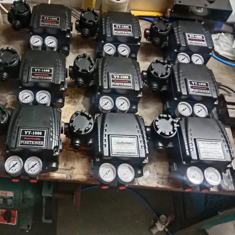 Rotork YT1000 Valve Positioner with Simple Adjustment and Auto/Manual ...