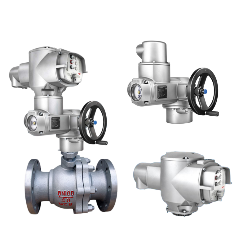 AUMA SQ with AM Actuator Controls | Parallel Signal Operation