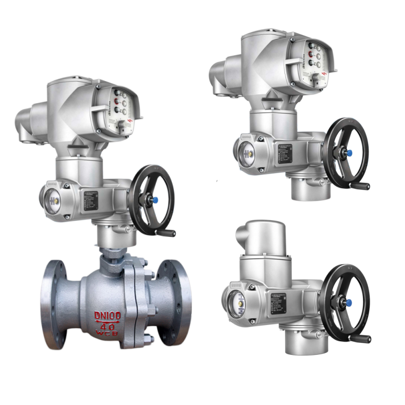 AUMA SQ with AM Actuator Controls | Parallel Signal Operation