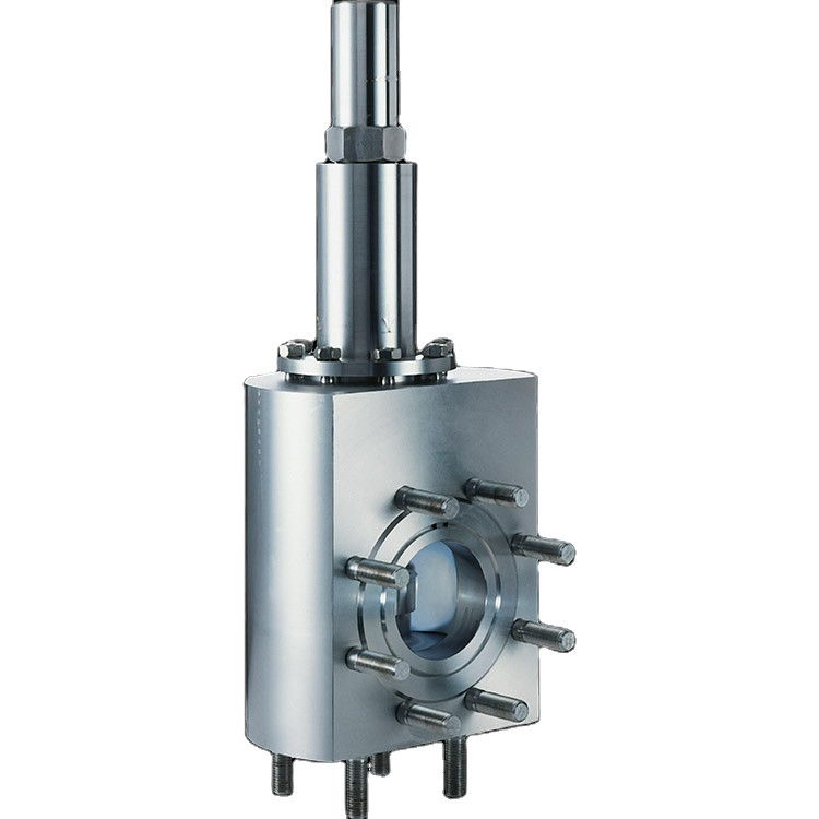 Type 449 With Block Body Flushing Protective Gas Spring Loaded Safety Valve